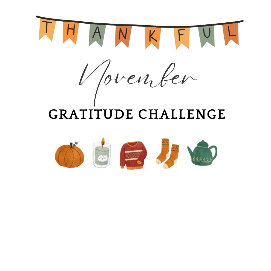 November Gratitude Challenge {day 3}